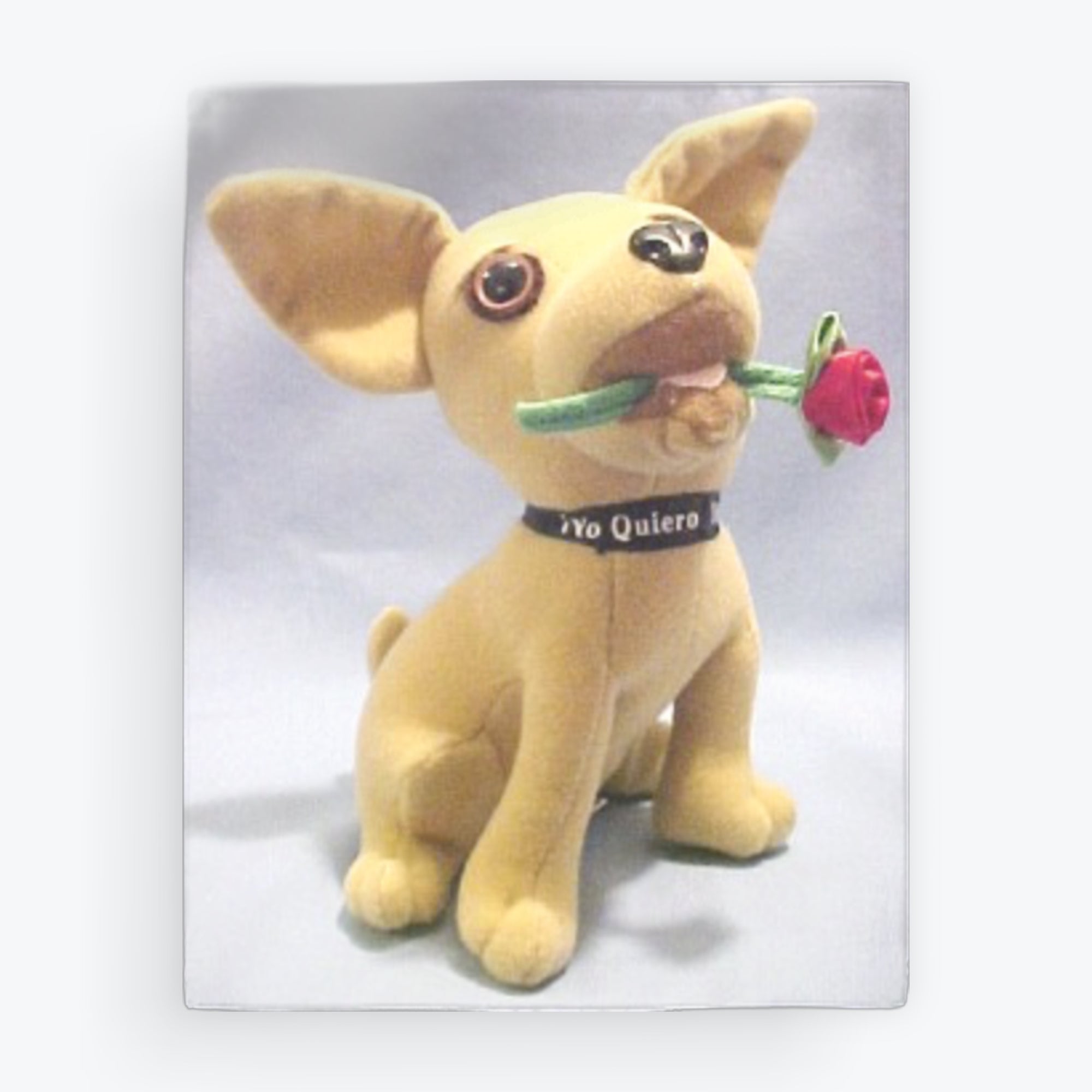 90s Talking Taco Bell Chihuahua with Rose | www.barbiedollnthings ...